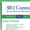 Network with the SBM