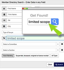 Introduction to Limited Scope Representation